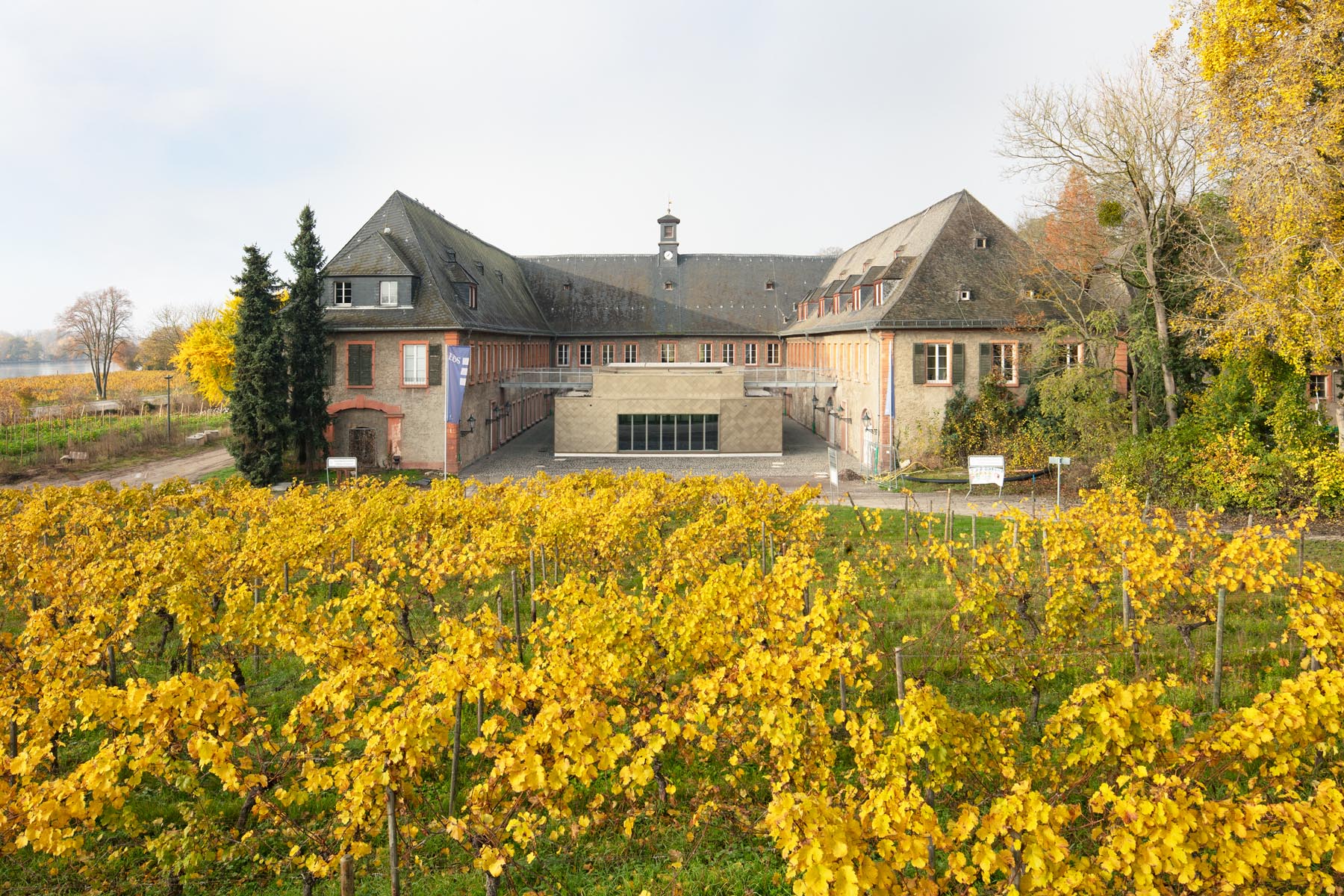 EBS経済法科大学 | 海外大学 大学留学 学部留学